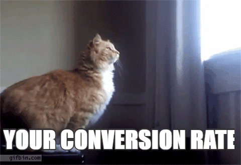 What's My Website Conversion Rate?